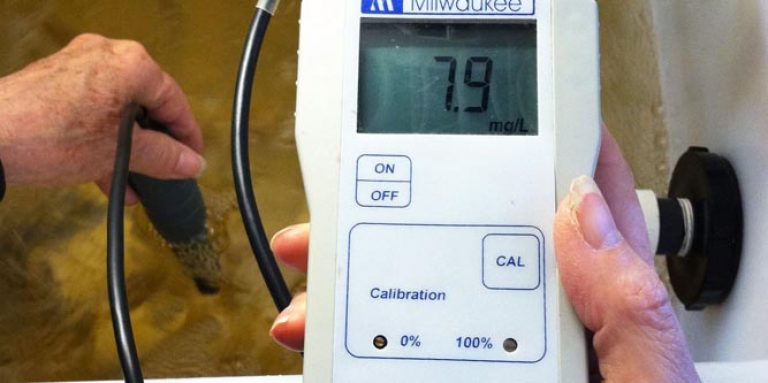 Helpful Guide to the Best Dissolved Oxygen Sensors for 2022