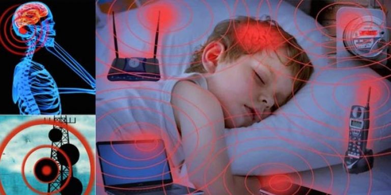 Guide to the Best Whole-House EMF Radiation Neutralizer in 2021-2022