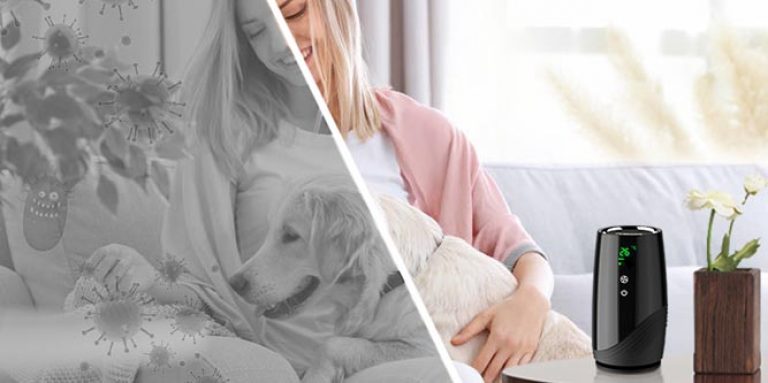 In-Depth Review of the Acekool B-D01 Portable HEPA Air Purifier