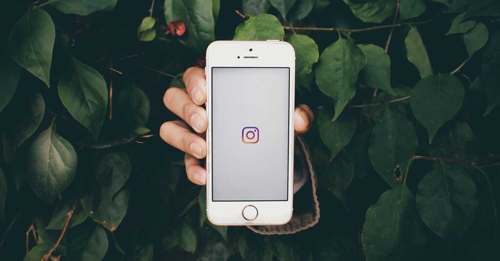 How to Add Subscribe Button on Instagram - Nerd Techy