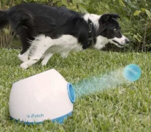 5 Best Automatic Dog Ball Launchers in 2023 - Nerd Techy