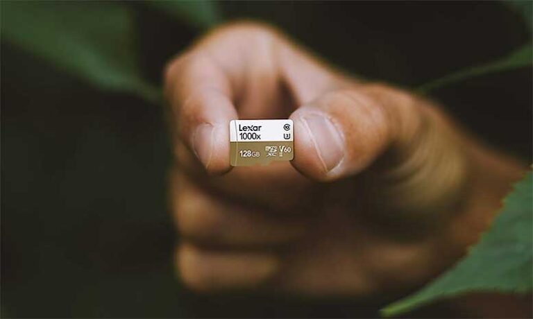 4 Best SD Cards for ASUS ROG Ally in 2023 - Nerd Techy