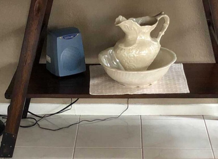 5 Best Barking Dog Alarms for Home Security [2023 Guide] - Nerd Techy