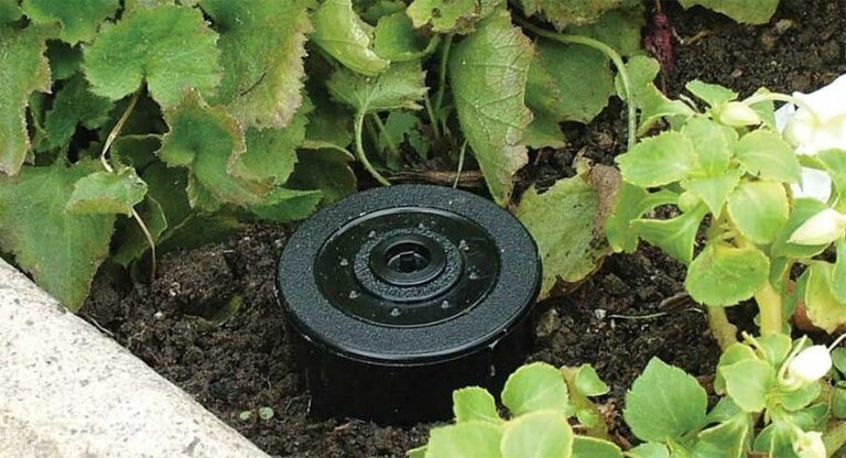 6 Best Hidden Key Holders for Outside in Your Yard (2023) - Nerd Techy