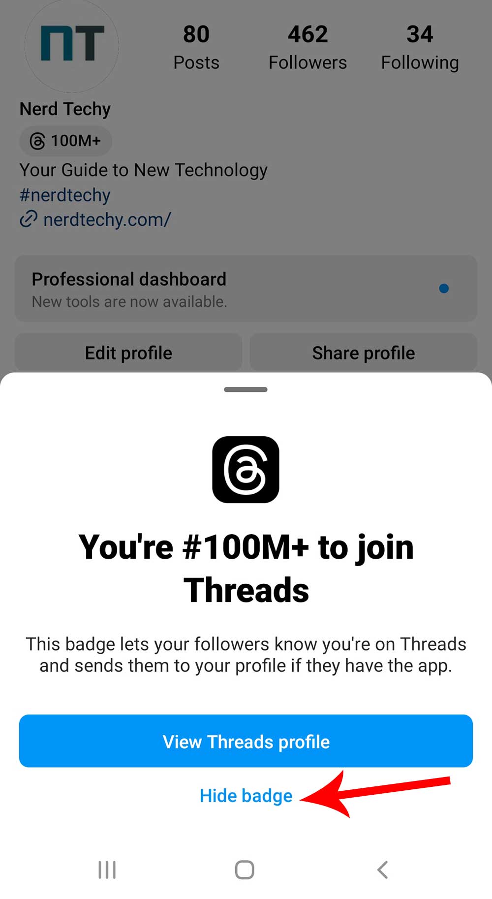 How to Remove Threads Badge on Instagram Profile - Nerd Techy