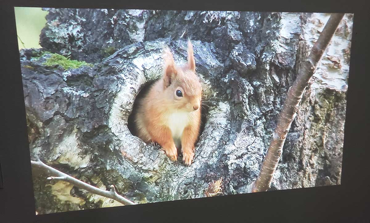 AURZEN BOOM 3 Smart Projector Review & 2-Week Test Run - Nerd Techy