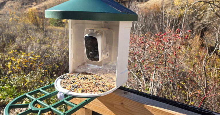 3 Best Bird Feeders with Cameras for Remote WiFi Viewing (in 2024 ...