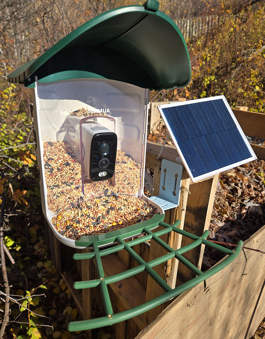 3 Best Bird Feeders with Cameras for Remote WiFi Viewing (in 2024 ...