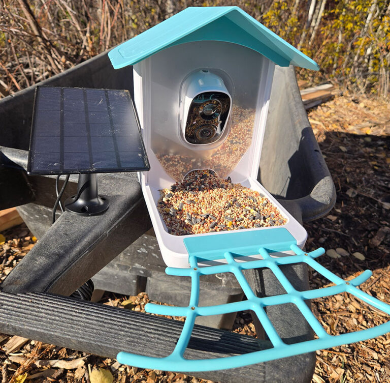 3 Best Bird Feeders with Cameras for Remote WiFi Viewing (in 2024 ...