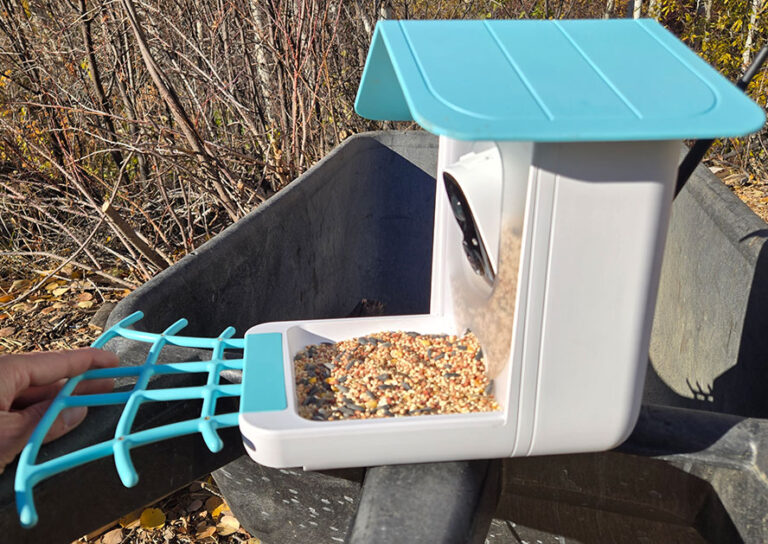 3 Best Bird Feeders with Cameras for Remote WiFi Viewing (in 2024 ...