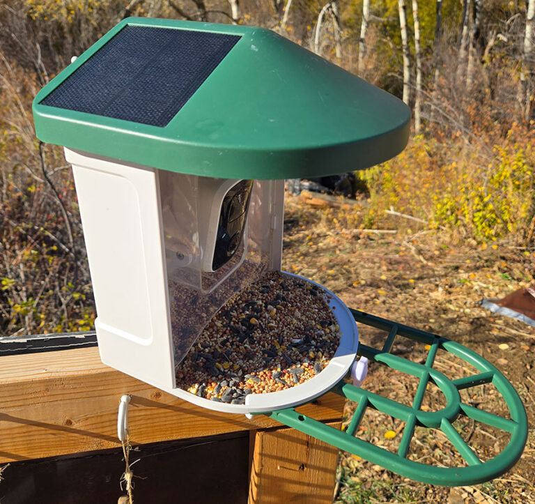 3 Best Bird Feeders with Cameras for Remote WiFi Viewing (in 2024 ...